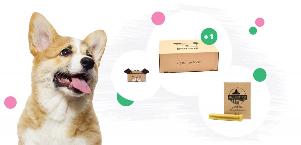 Dogsie – psí radost