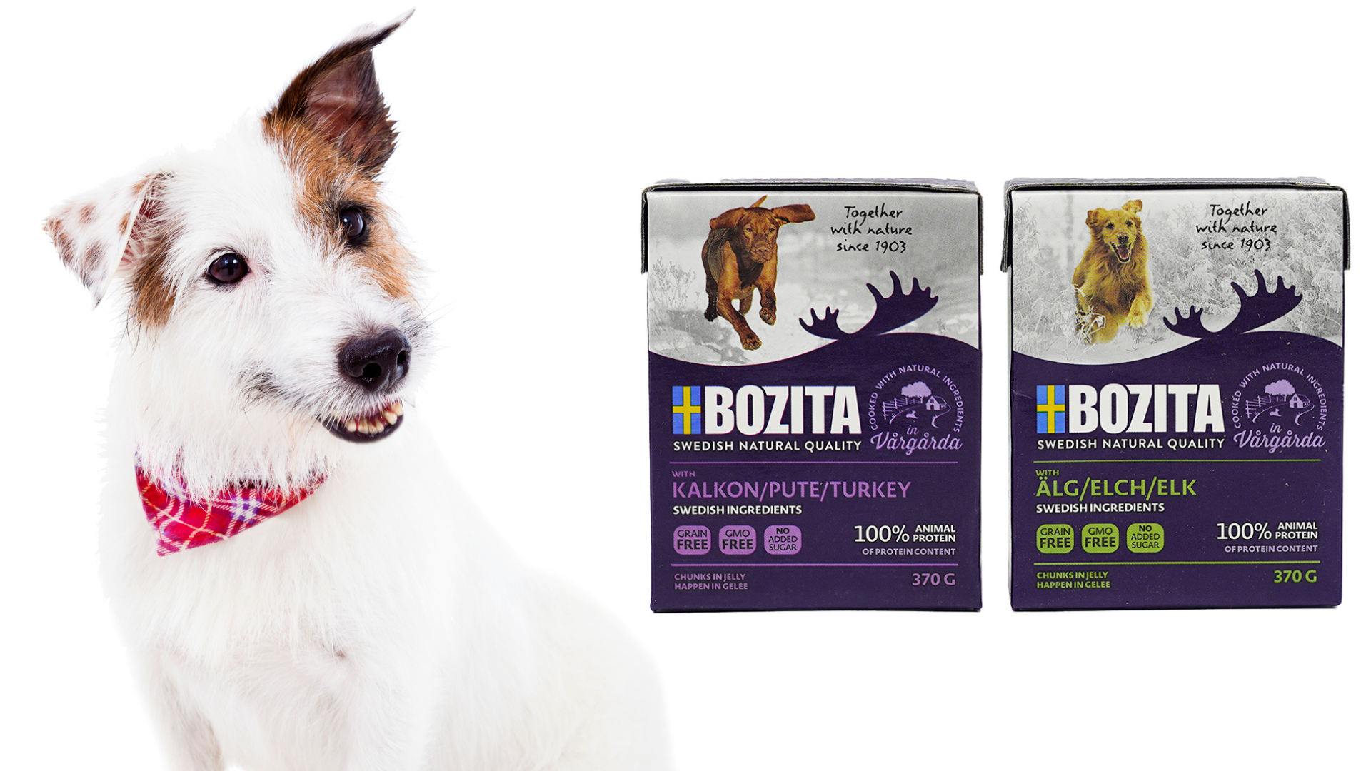 V Dogsie myslíme na přírodu. Co jsou to ty tetrapaky? - Dogsie